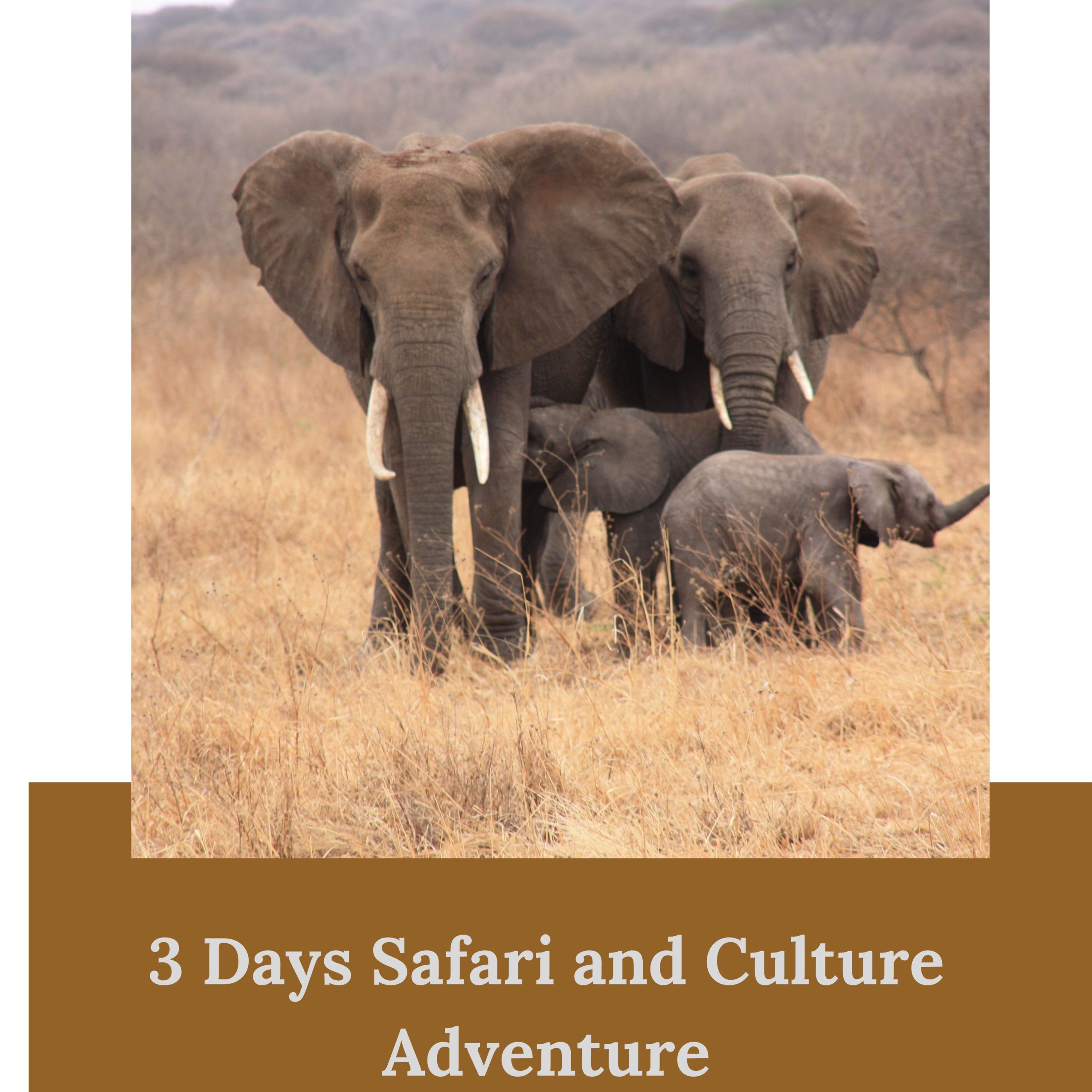 3-Day Safari and Culture Adventure - RA Safaris
